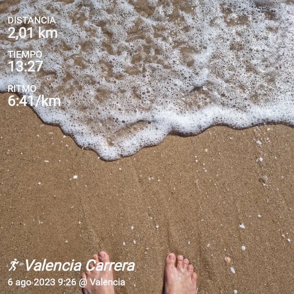 ¿Es keto el anís? - Ketoayuno