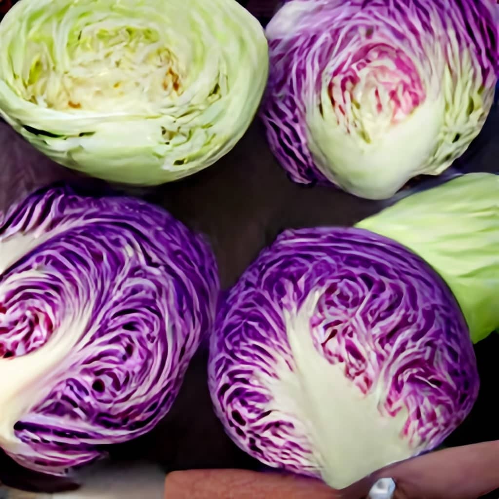 ¿Es keto el repollo? - Ketoayuno